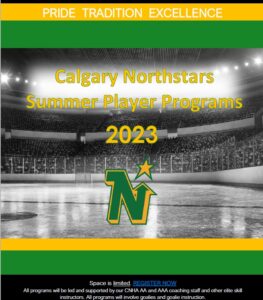 Summer Programs – Calgary Northstars Hockey Association