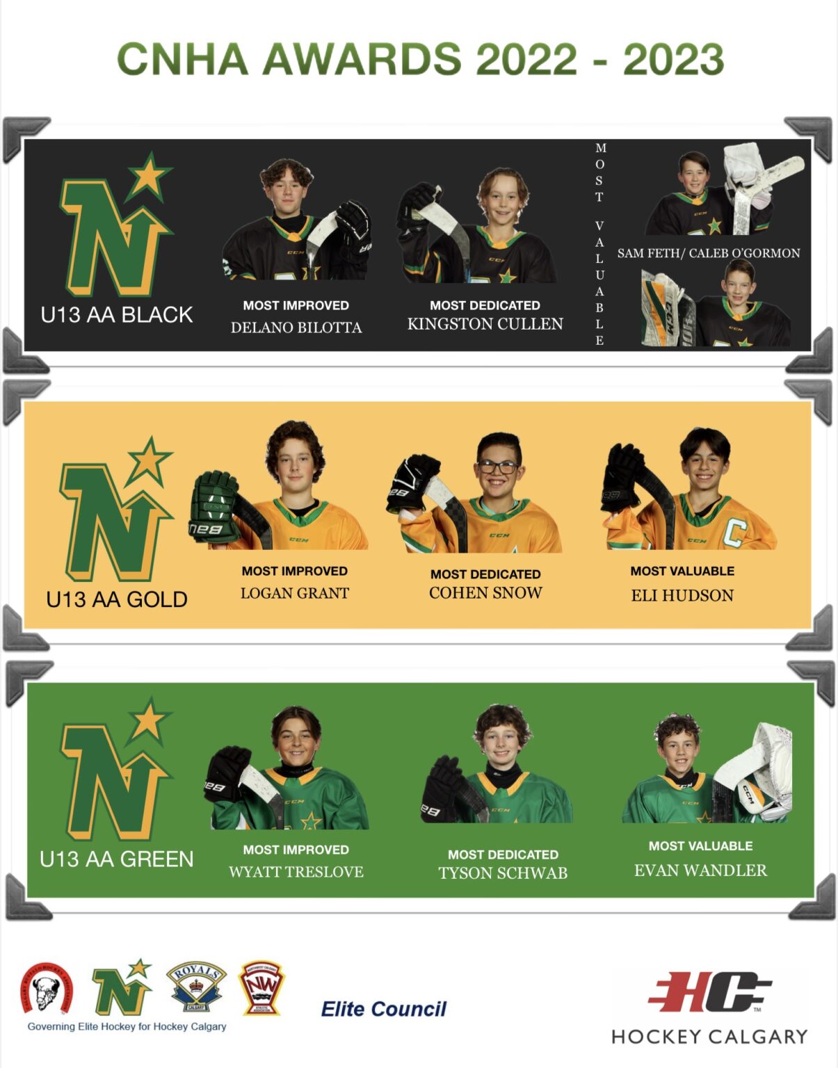 Awards – Calgary Northstars Hockey Association